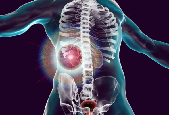 Best Adrenal Supplements: Support Energy & Stress Relief Naturally