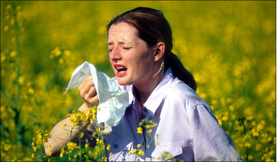 How to prevent hay fever