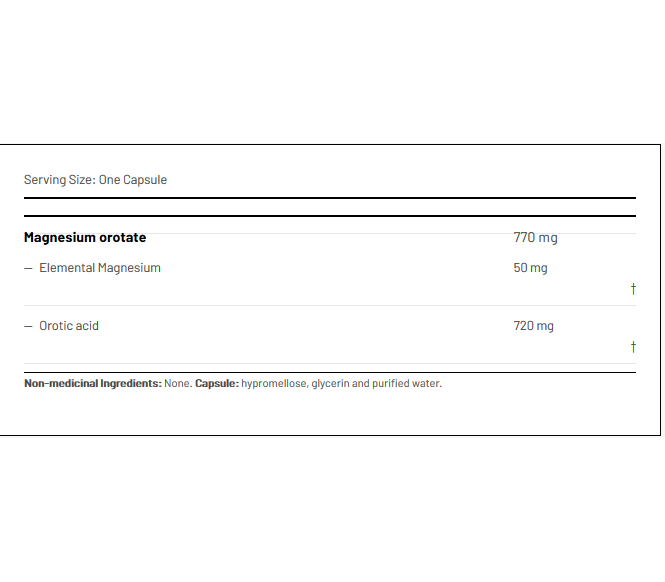 Cardio Mag 2.0 120 capsules - magnesium orotate | AOR